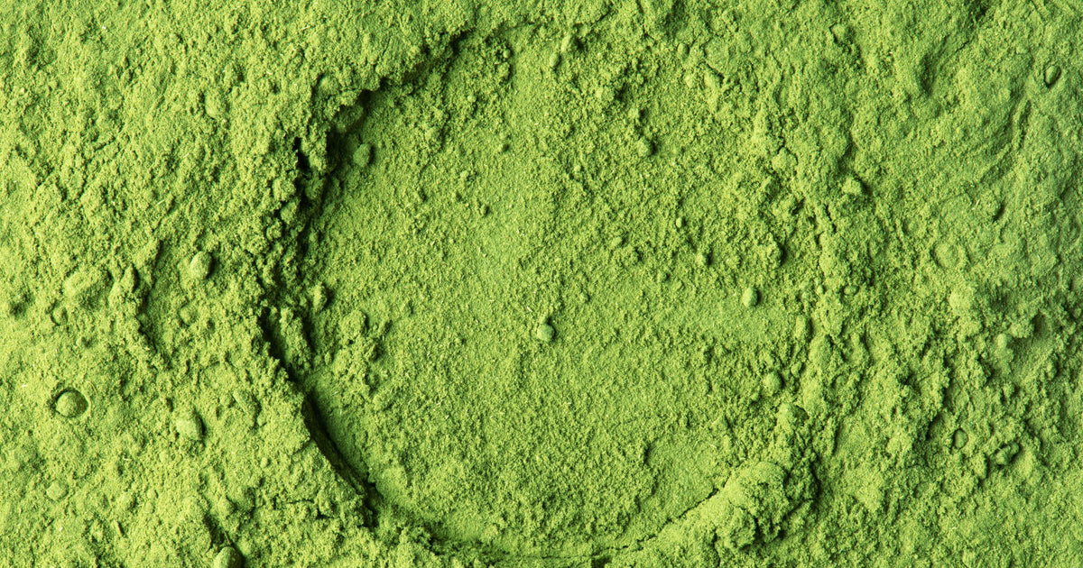 What is matcha and what does it do? | Vivo Life – Vivo Life EU